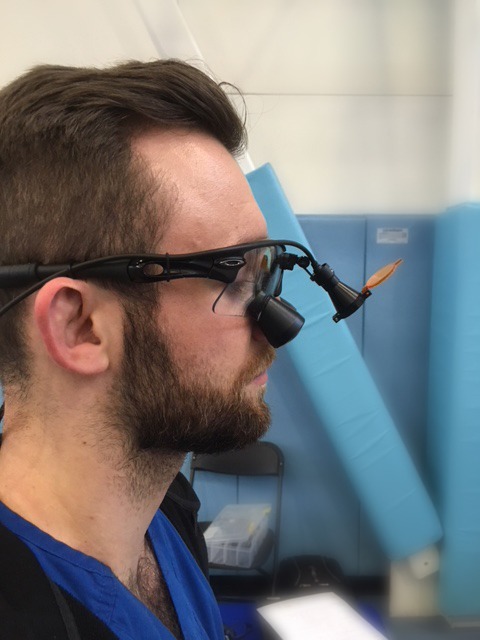 Testimonial - Dr. Grant Pizzo, DMD - SurgiTel Loupes