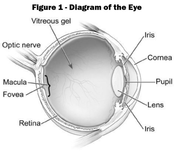 A Key Factor for Selecting Loupes: Magnification Power or Resolution?