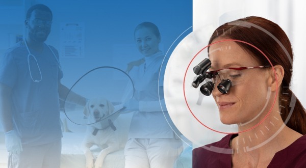 Customized Ergonomic Veterinary Loupes - SurgiTel