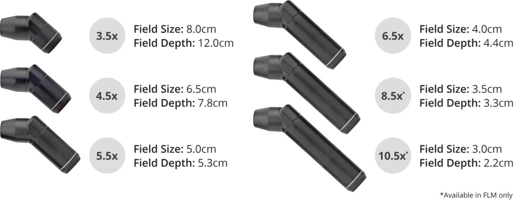 Ergo Loupes - Dental & Surgical Ergonomic Loupes - SurgiTel